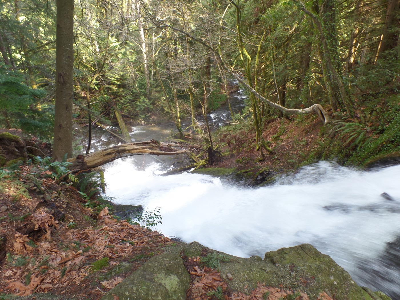 Colliery Dam Park - Semester Abroad Canada