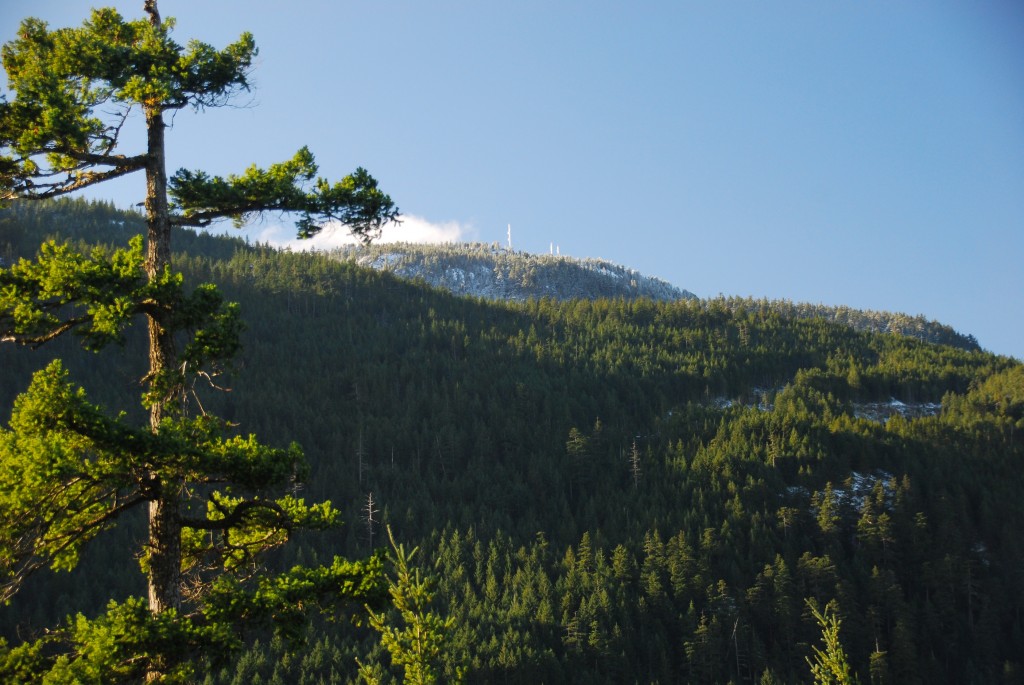 Climbing Mount Benson - Semester Abroad Canada