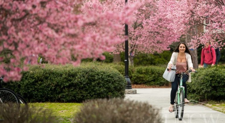 UNC Wilmington - Study in the USA - International Student Office