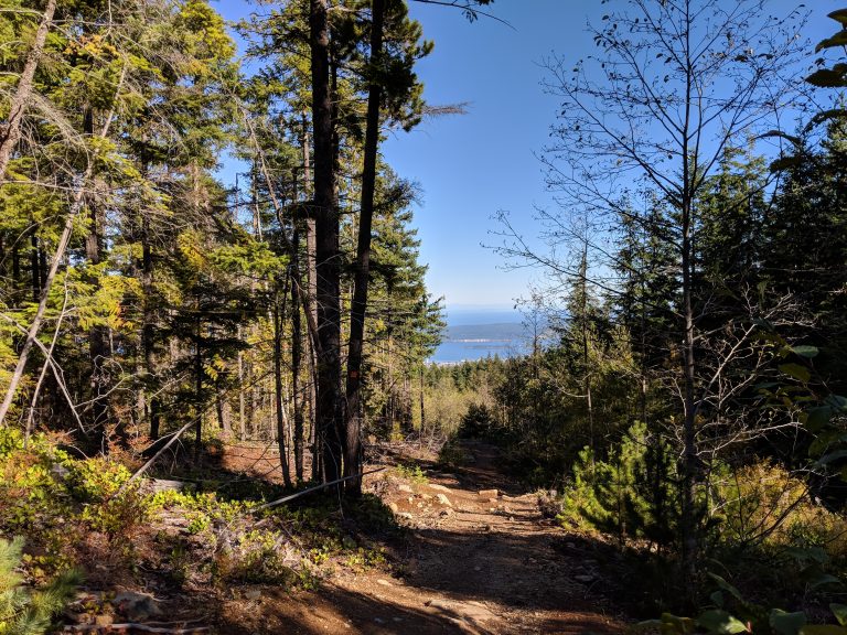 Wanderausflug zu Mount Benson auf Vancouver Island