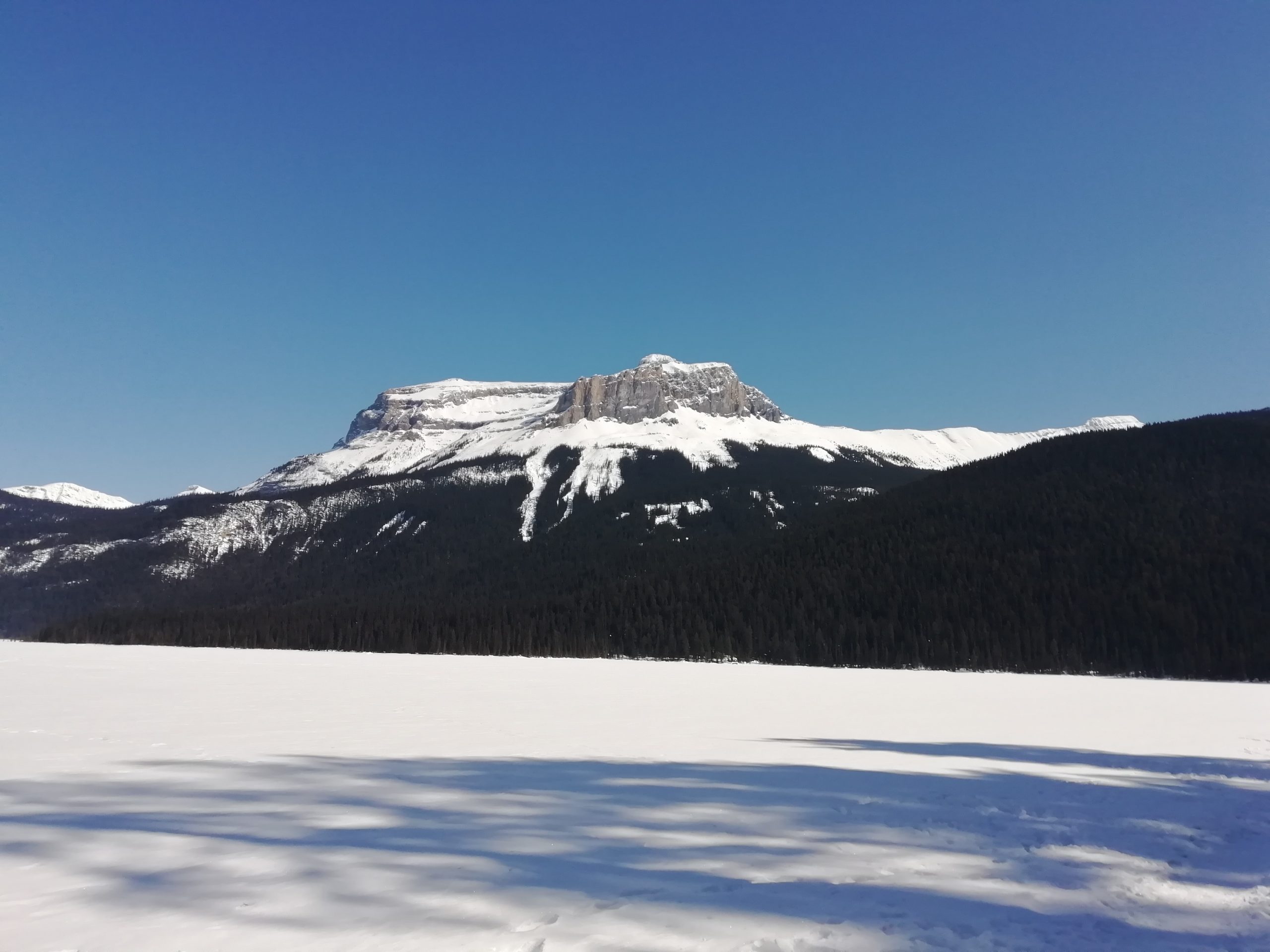 A Trip to Banff and Yoho National Park - International Student Office