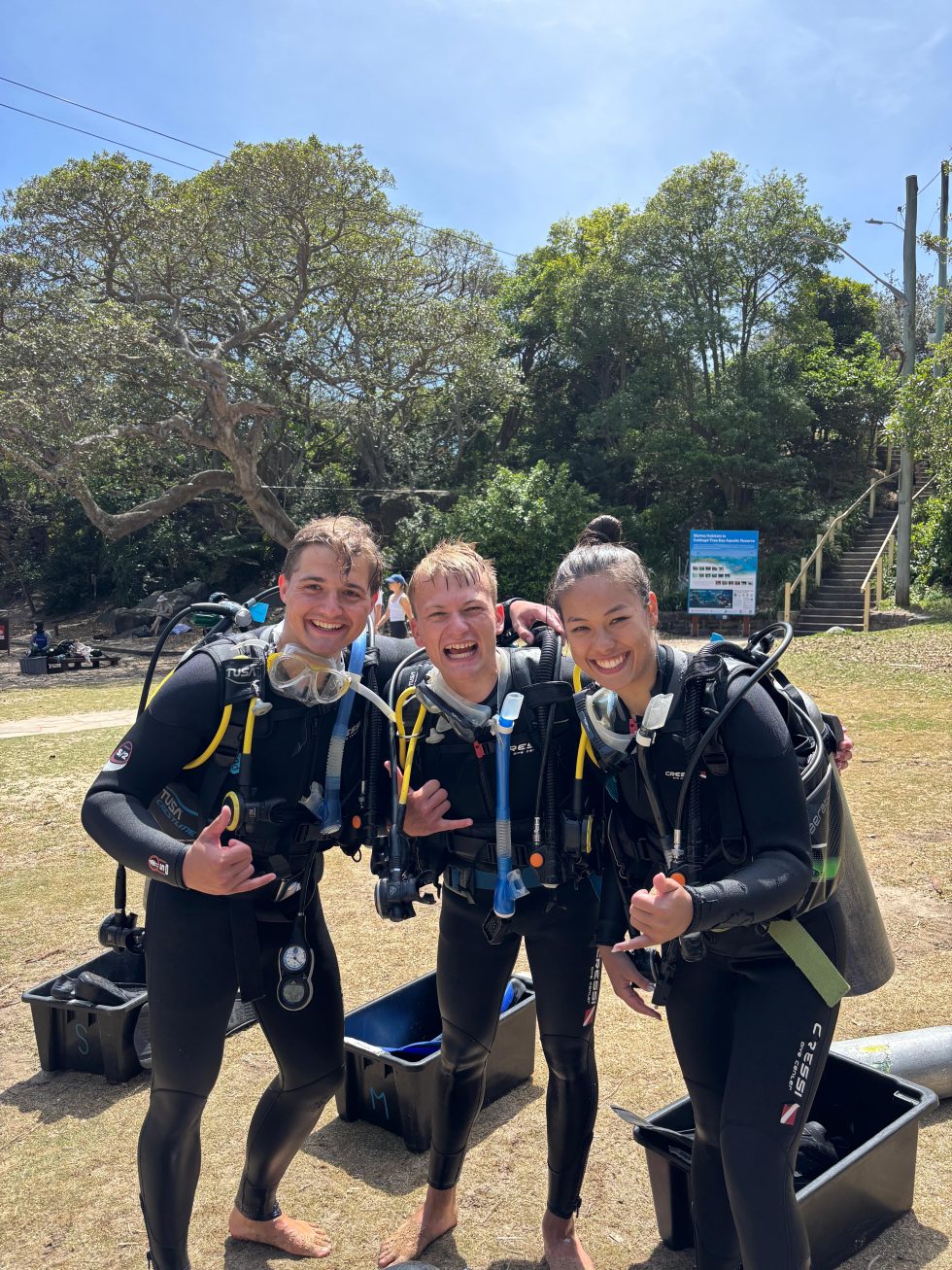 Cabbage Tree Bay hautnah: Tauchen lernen am Fuße des ICMS ...